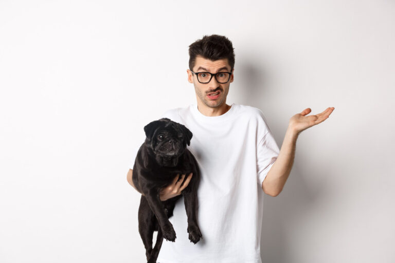Hundekrankenversicherung Vergleich: Petolo vs. Figo (2026)